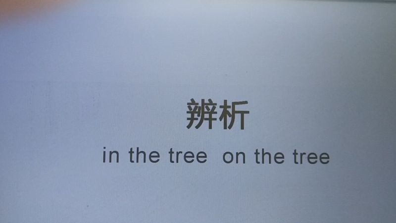 你知道in the tree和on the tree的区别吗,教育,在线教育,好看视频