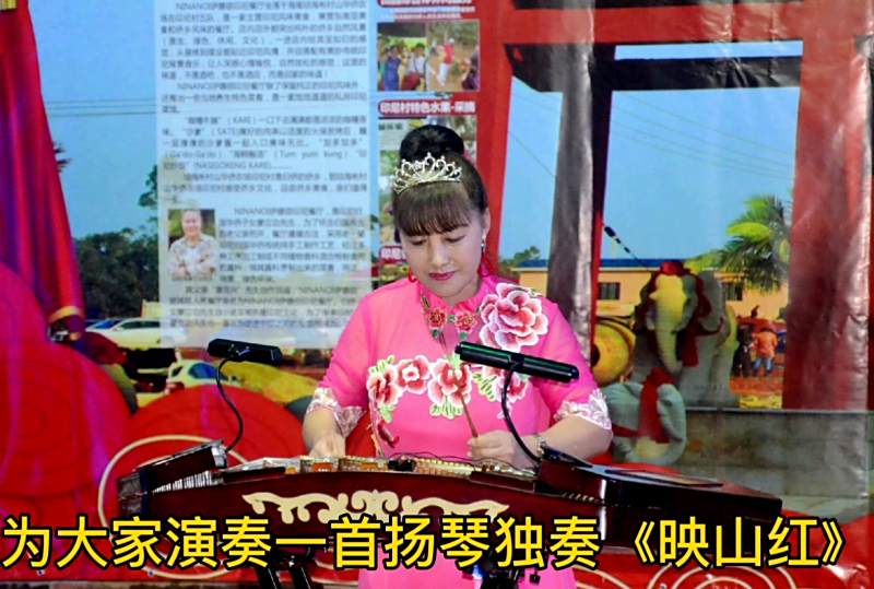 一曲扬琴独奏曲《映山红》的优美旋律,表达了对红军的热爱与崇敬音乐器乐好看视频
