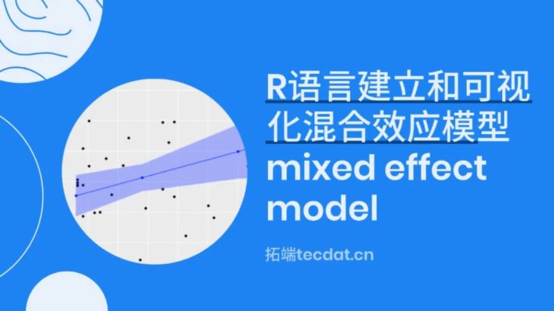 R语言建立和可视化混合效应模型mixed effect model,教育,职业教育,好看视频