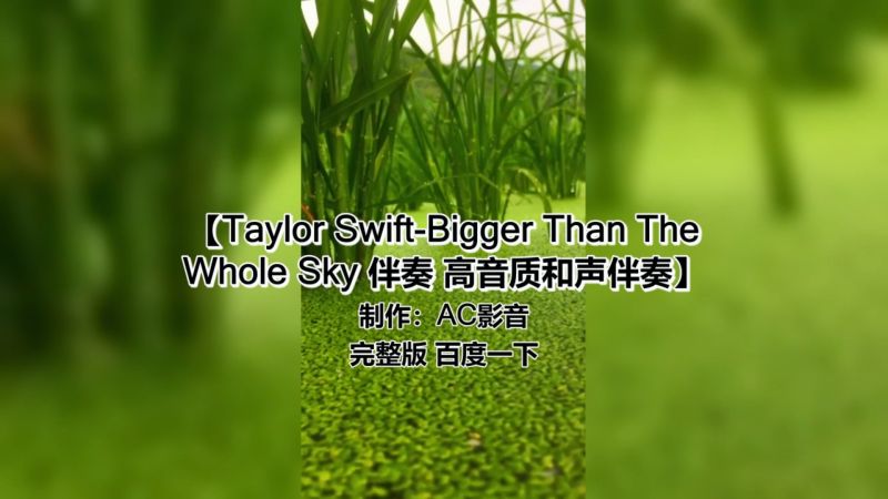 Taylor Swift-Bigger Than The Whole Sky 伴奏,音乐,古典及轻音乐,好看视频