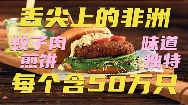 蚊子再小也是肉!舌尖上的非洲邀你品尝:多汁酥脆的原味蚊子肉饼美食美食节目好看视频
