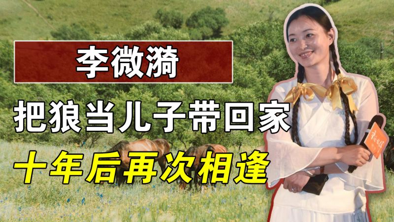 中国狼女李微漪：十年前把狼当儿子带回家养，如今狼还记得她吗？文化文化综合好看视频