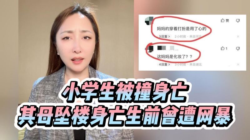武汉校内被撞身亡小学生母亲在小区坠楼身亡 生前曾因装扮被网暴 社会 民生 好看视频