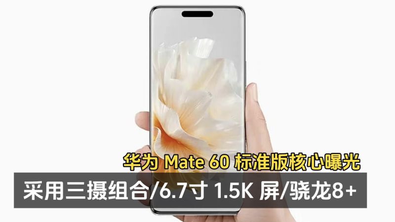 华为 Mate 60 标准版核心曝光、采用三摄/6.7寸 1.5K 屏/骁龙8+！,数码,手机,好看视频